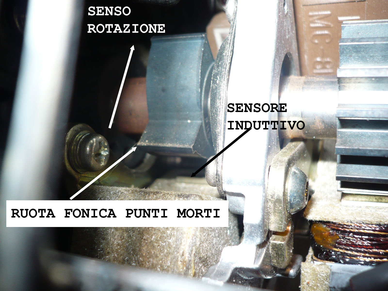 Ruote foniche induttive (lungo)